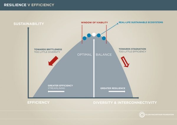 Circular economy chart | Find A Spark